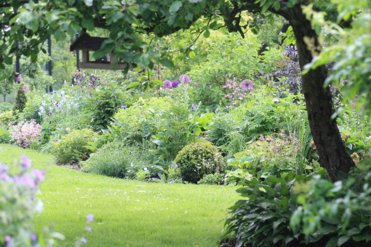 Om haven i Troense – Troensehaven