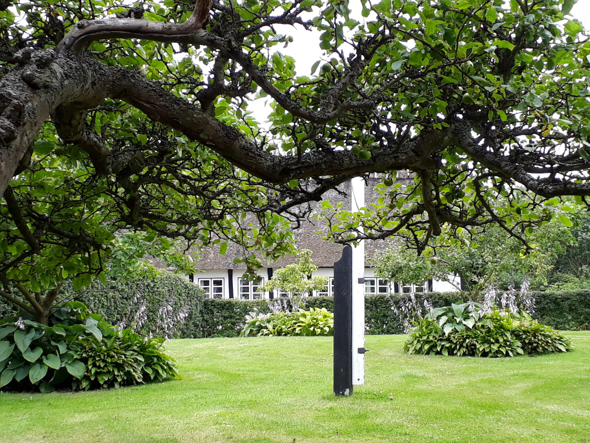 Om haven i Troense – Troensehaven