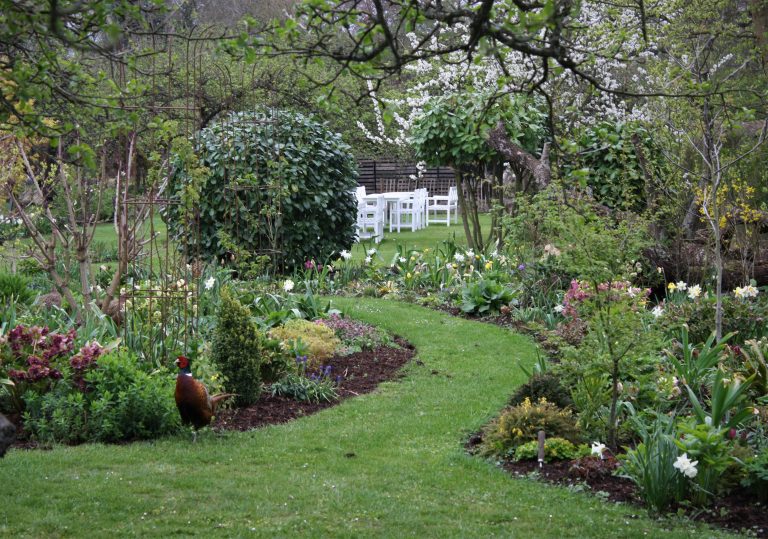 Tips til design af bede – Troensehaven