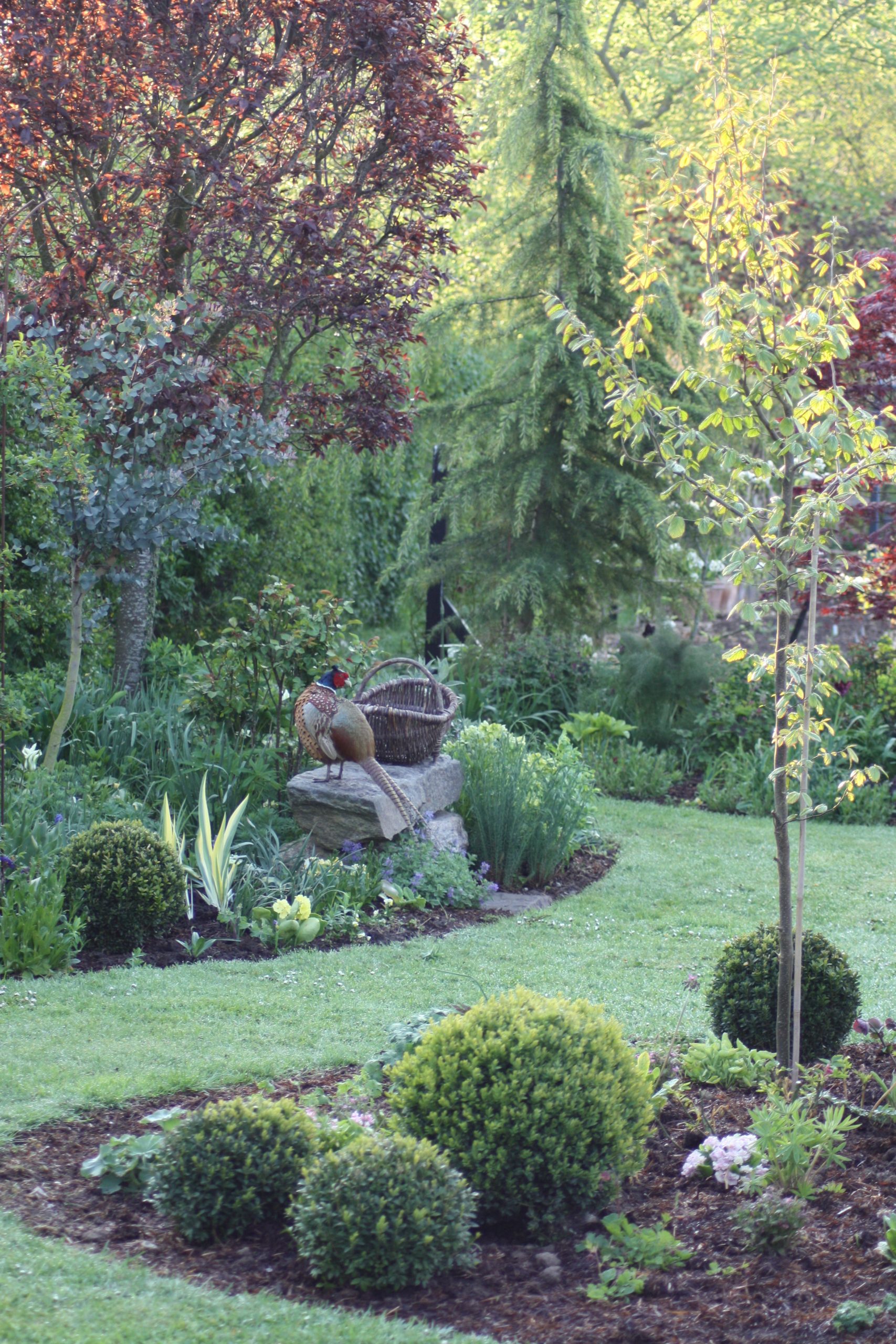 Tips til design af bede – Troensehaven