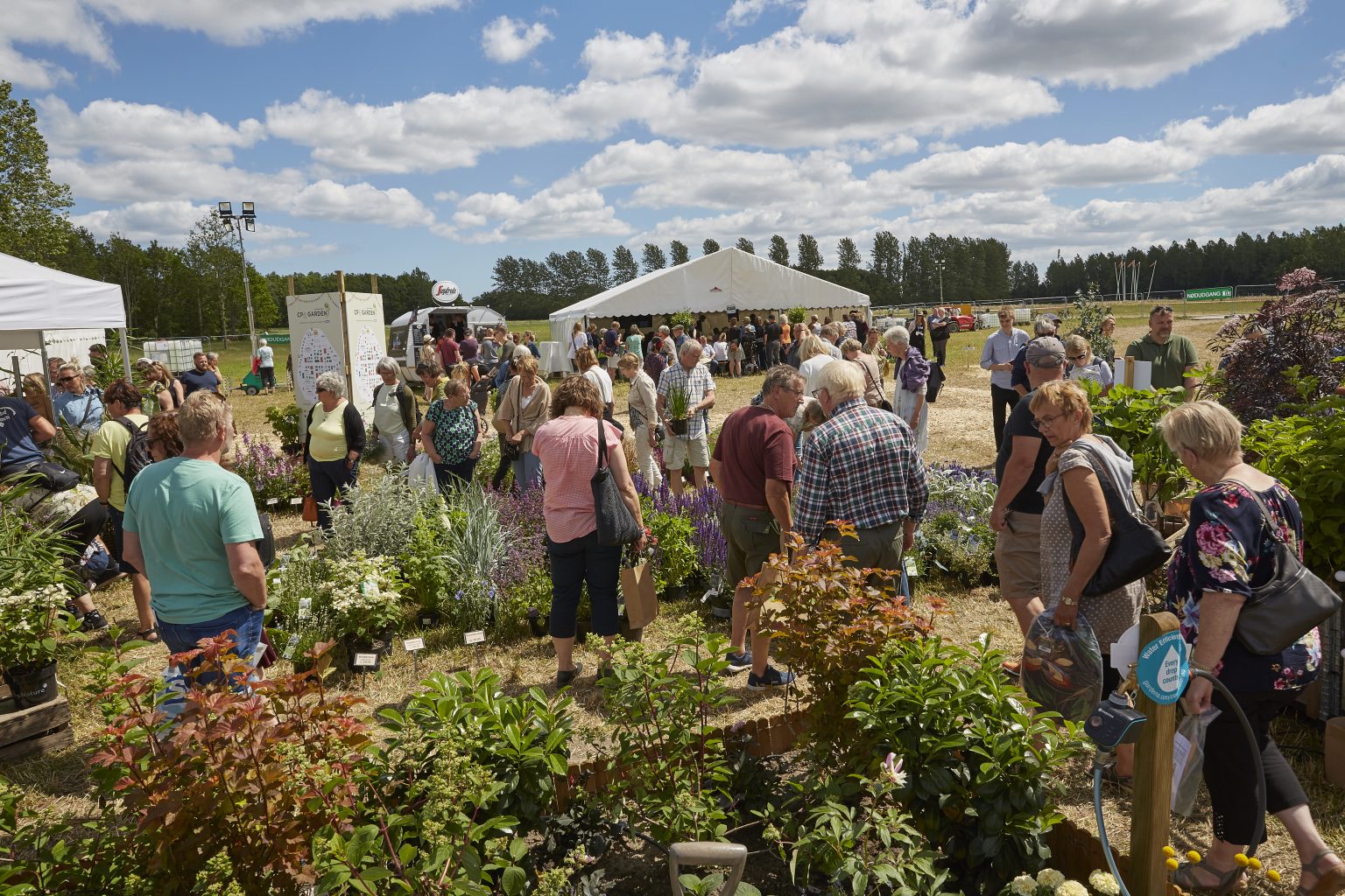 Årets største og længste havefest – Troensehaven