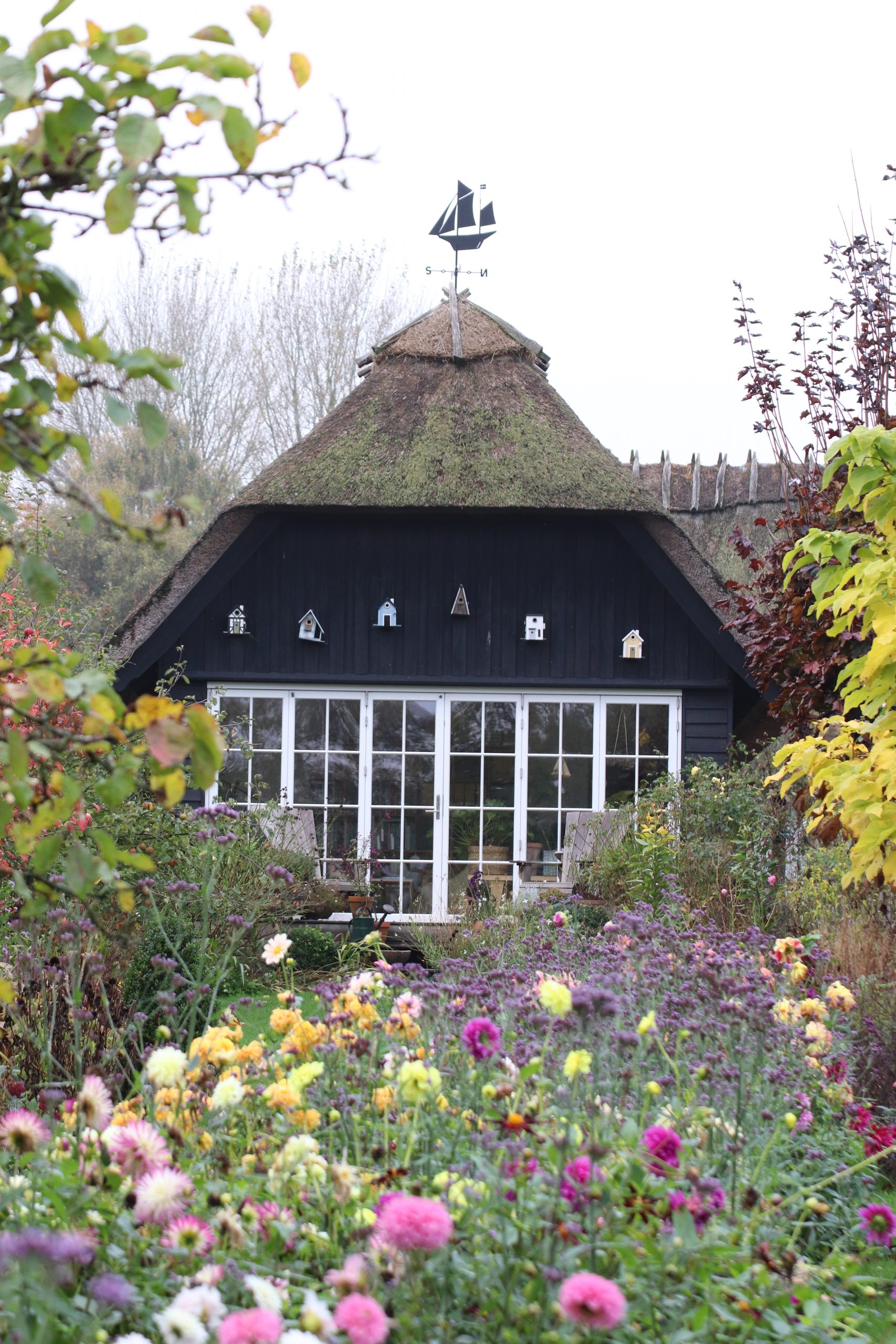 Fuglene i haven om vinteren – Troensehaven