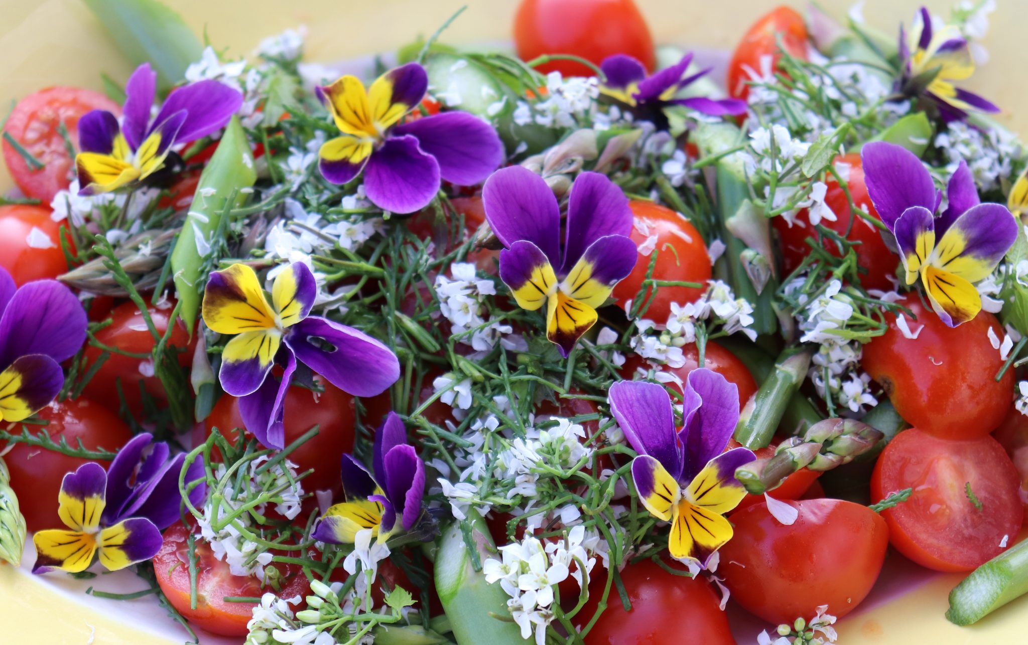 Spiselige planter – Troensehaven